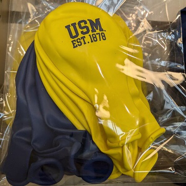 10 Pack 11" Balloons Navy w/Yellow & Yellow w/Navy USM Imprint